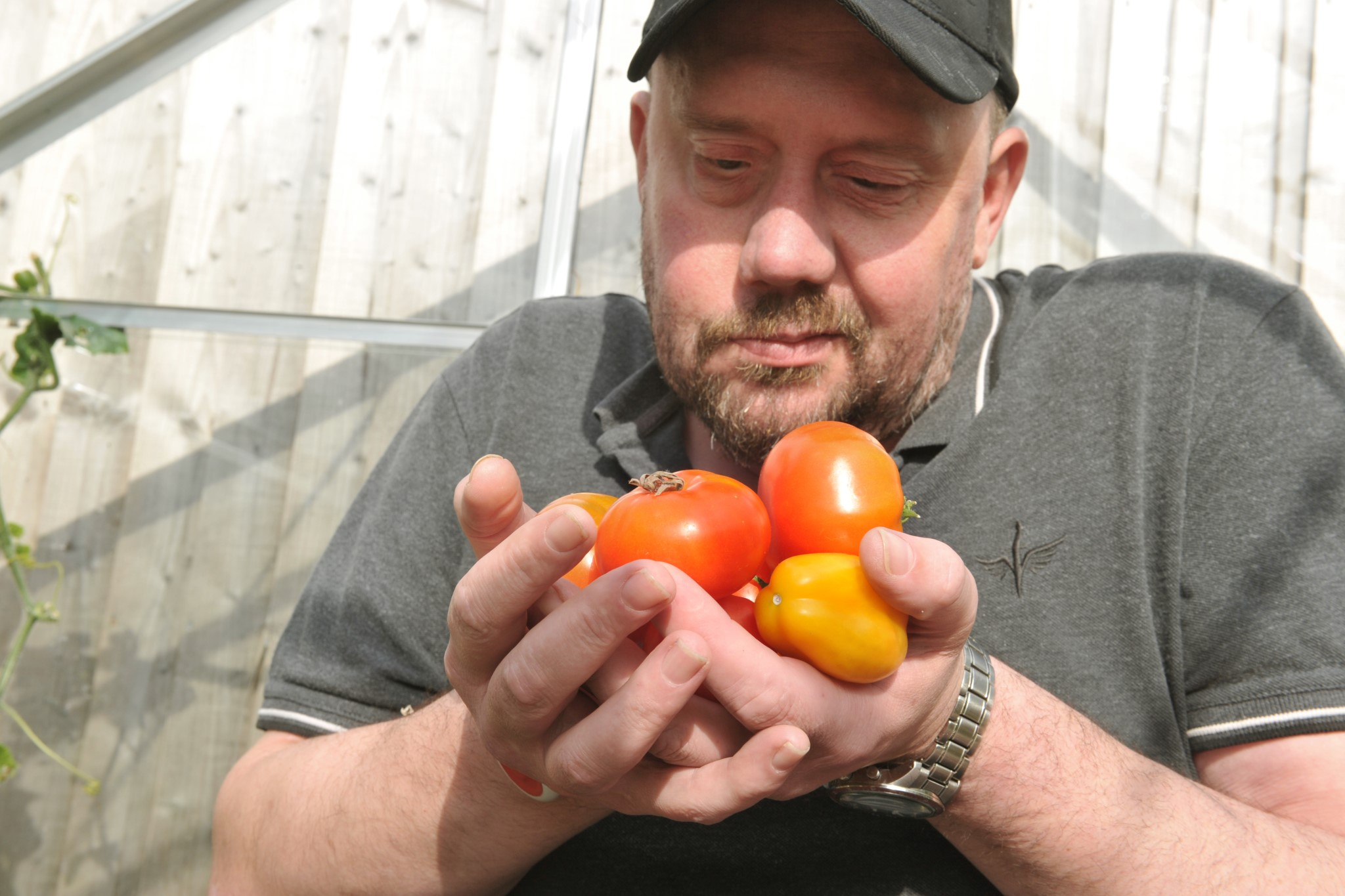 Our social value commitments | Lifeways